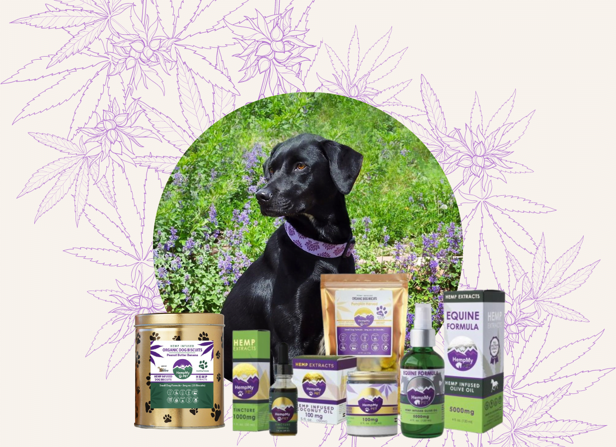 HempMy Pet | CBD Hemp for Pets | Cannabis Oil Dog Treats - HempMy Pet™